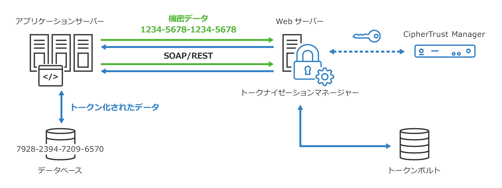 CipherTrust Tokenization (CT) | 東京エレクトロンデバイス株式会社