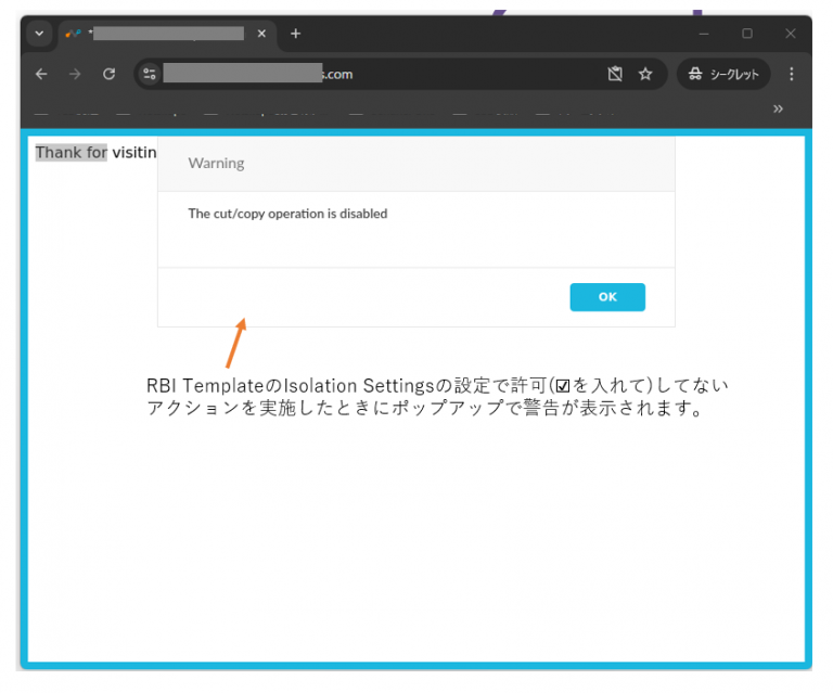 Netskope RBI（リモートブラウザ分離）機能設定してみた！ | 東京エレクトロンデバイス株式会社